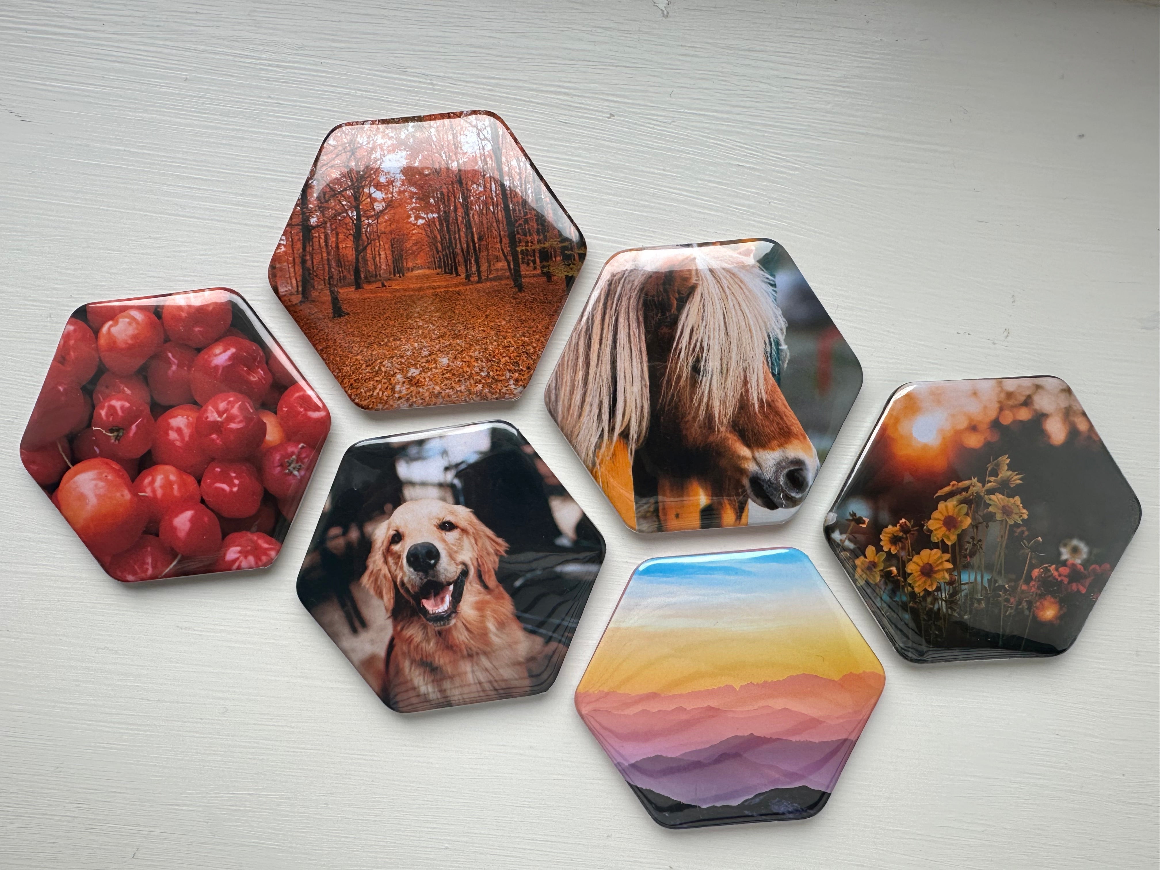 Custom made hexagon photo magnets 65x58mm, pack of 6 – Madabout Magnets